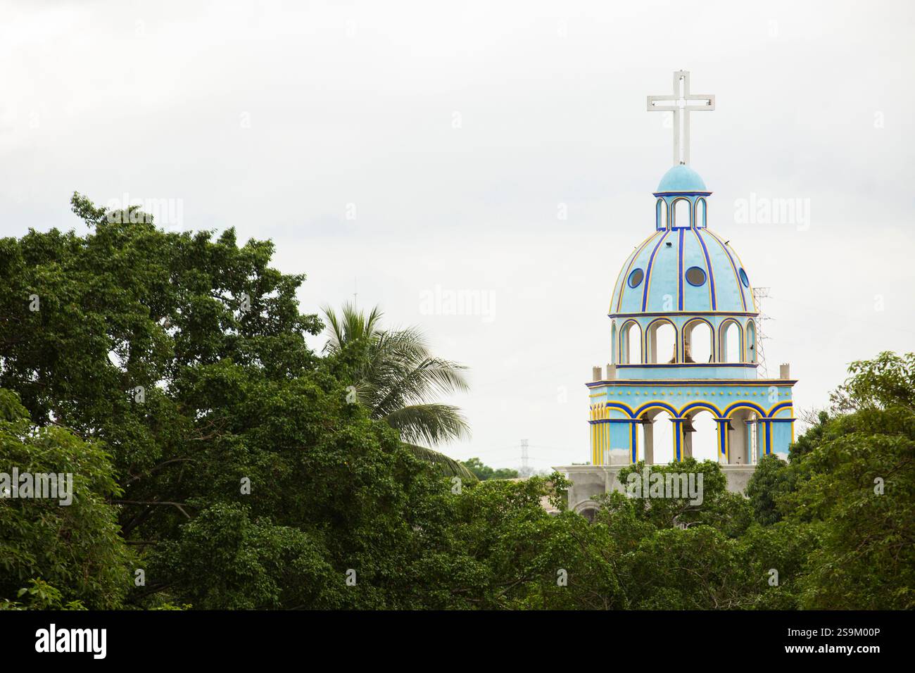 Tropical tree framed view of a historic church in downtown Villahermosa ...