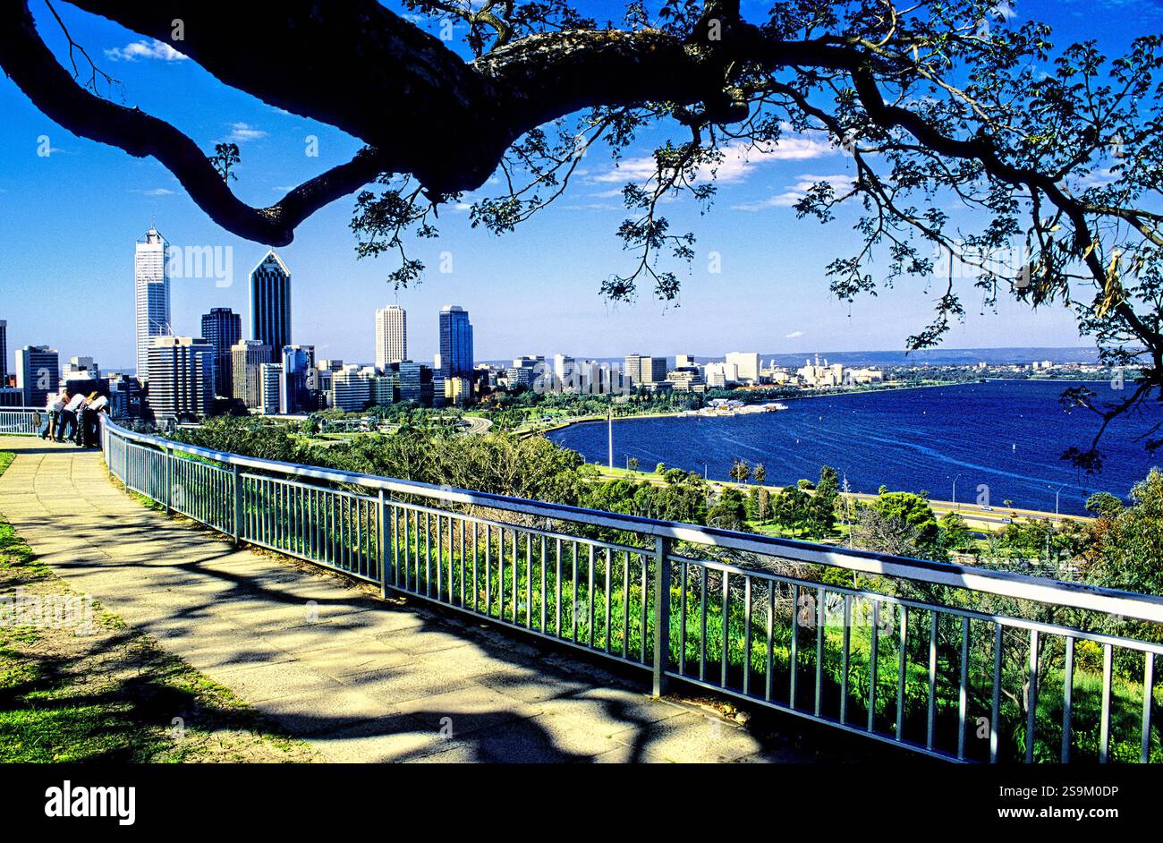 View to the city of Perth from Kings Park, Perth, Western Australia ...