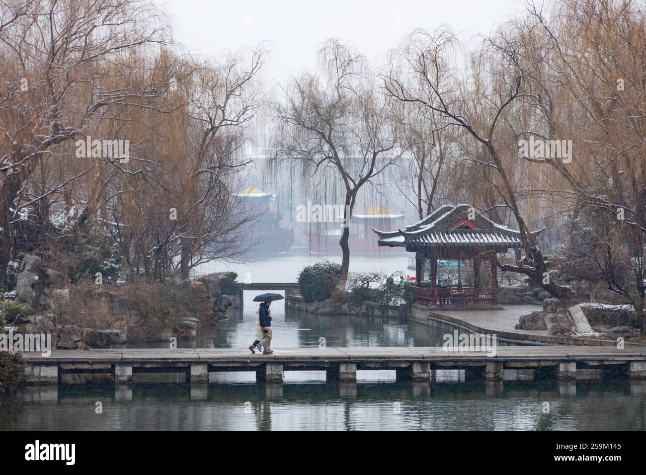 Snow scenery in Jinan City, east China's Shandong Province, 26 January ...
