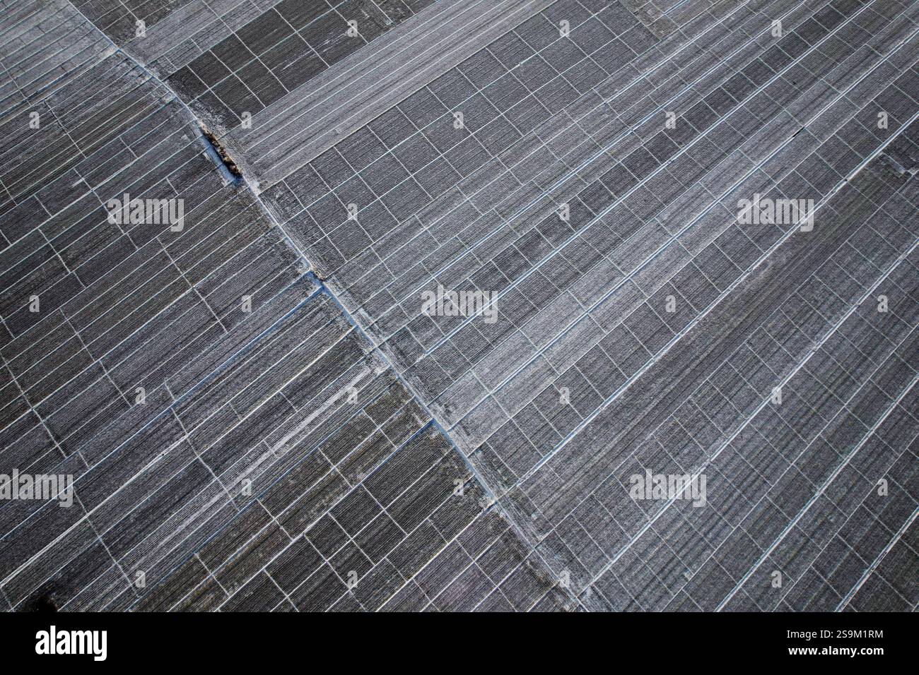 Snow scenery in Handan City, north China's Hebei Province, 26 January ...