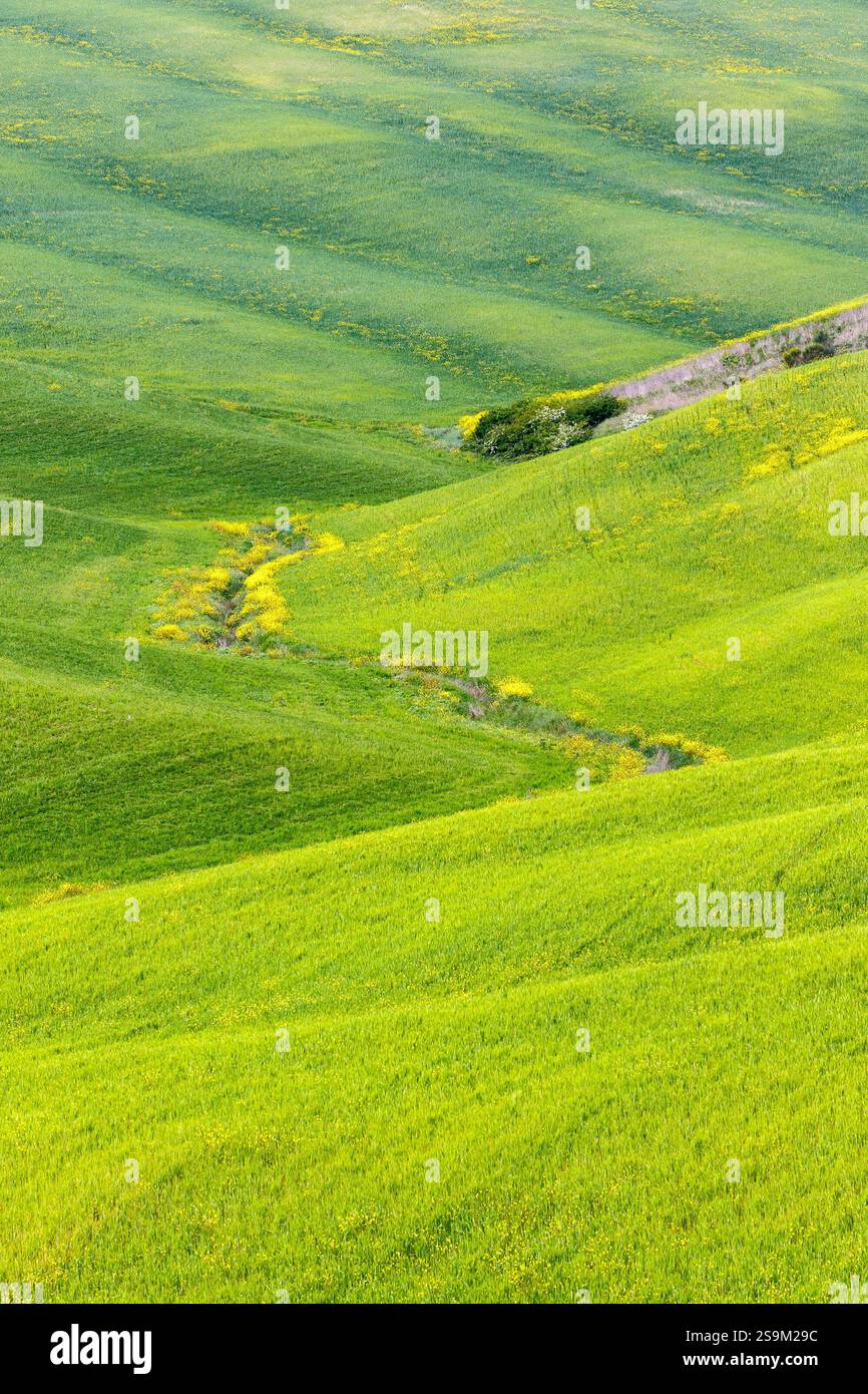 Stream in the valley with agricultural field Stock Photo - Alamy