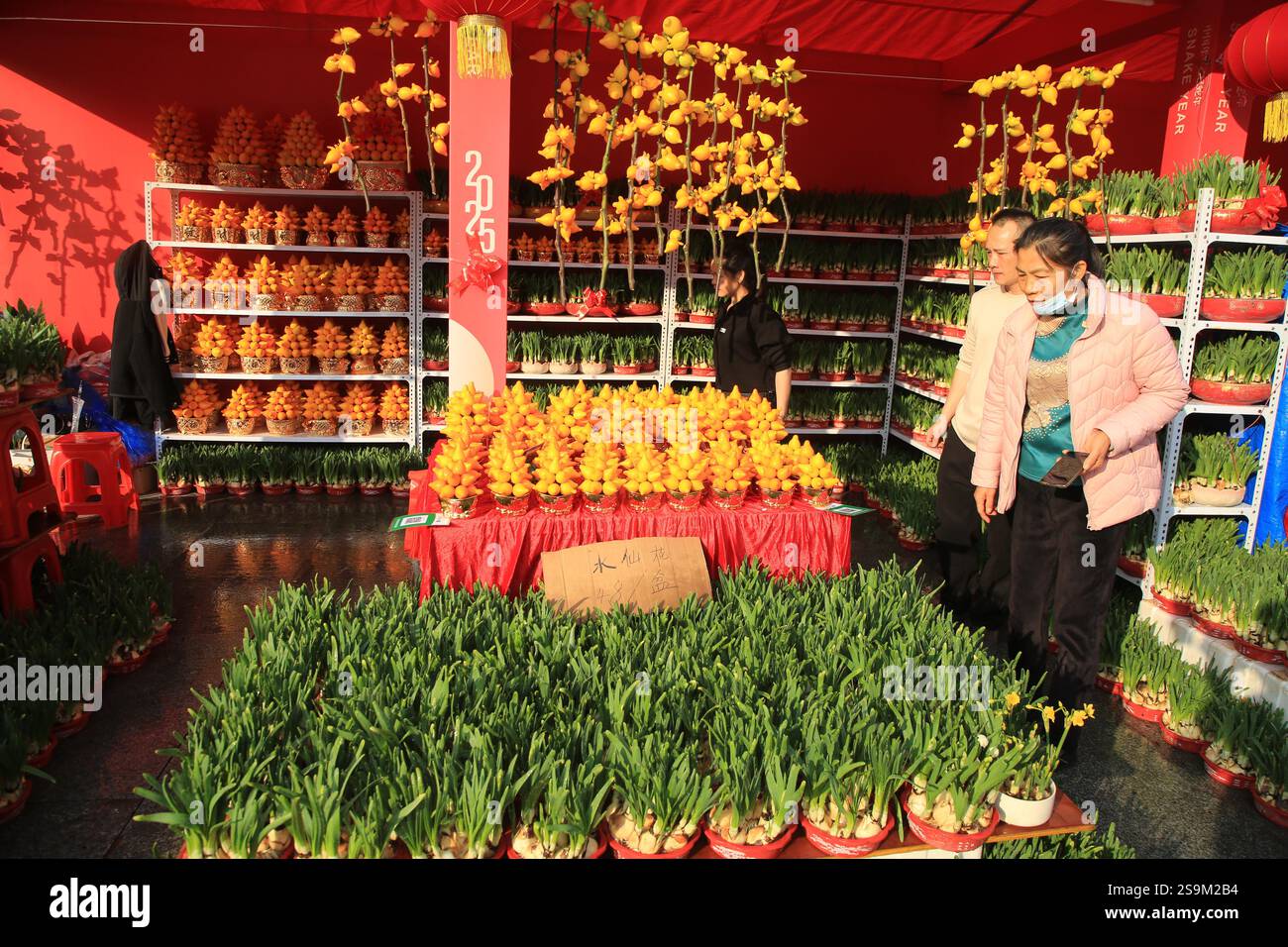 People select Spring Festival flowers at a market in Guangzhou City ...