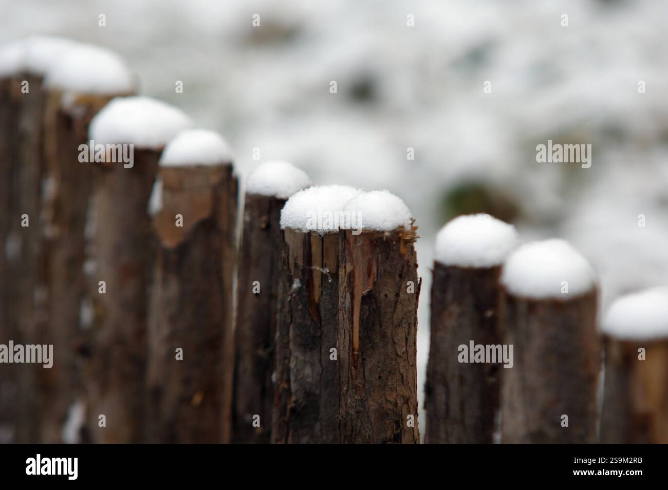 Snow scenery in Handan City, north China's Hebei Province, 26 January ...
