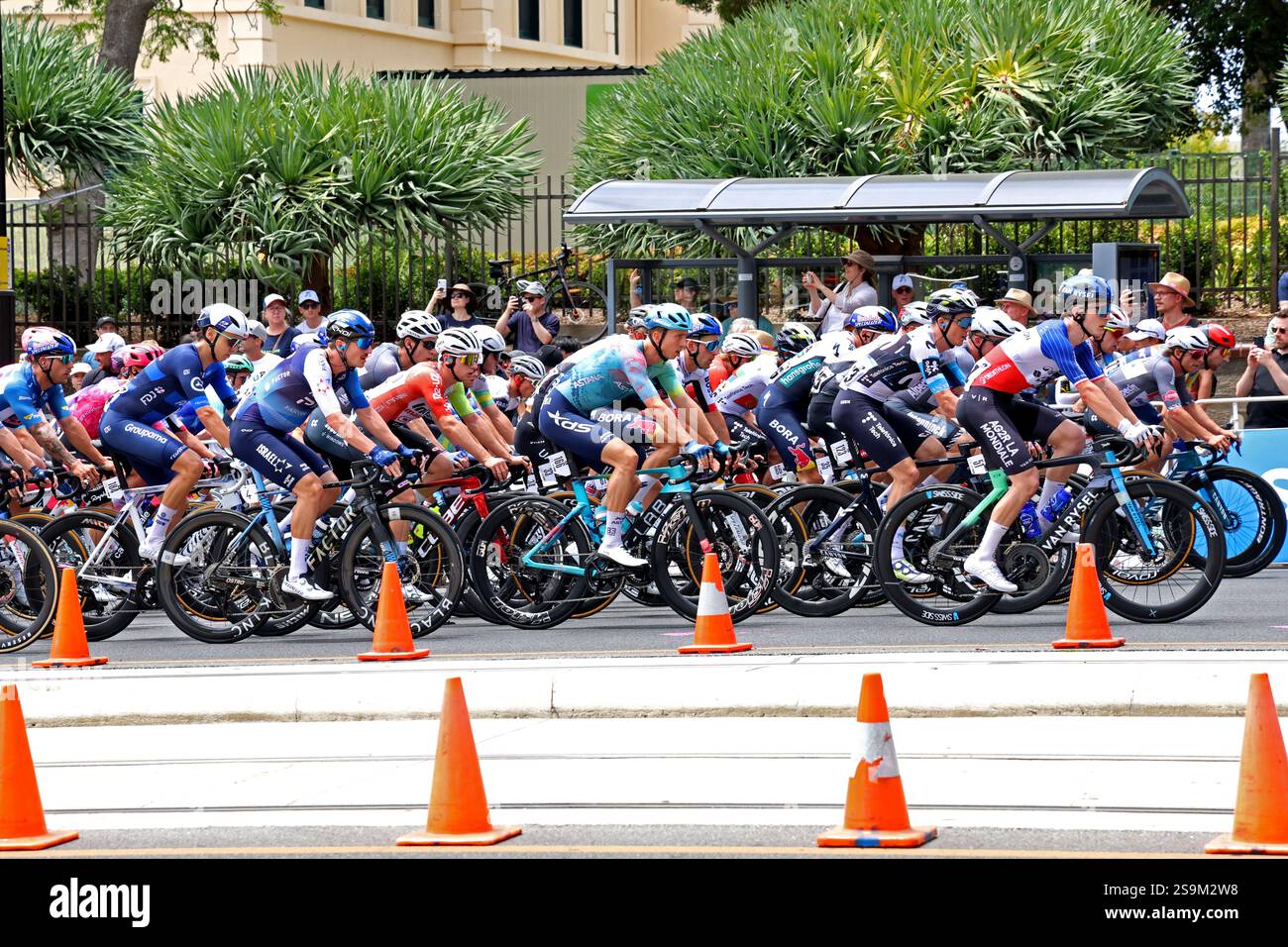 Riders competing in stage 6 of the 2025 Tour Down Under bike race ...