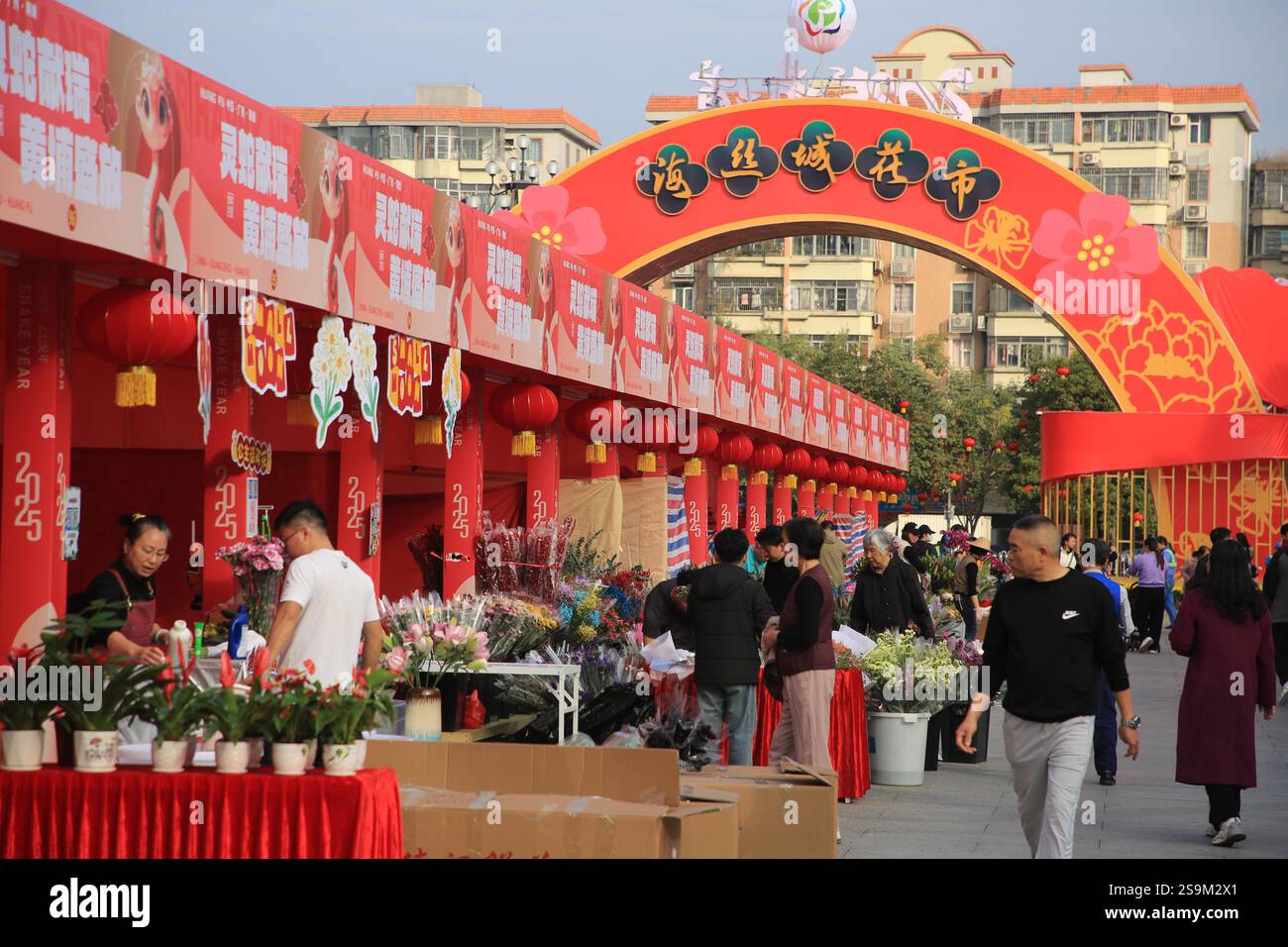 People select Spring Festival flowers at a market in Guangzhou City ...