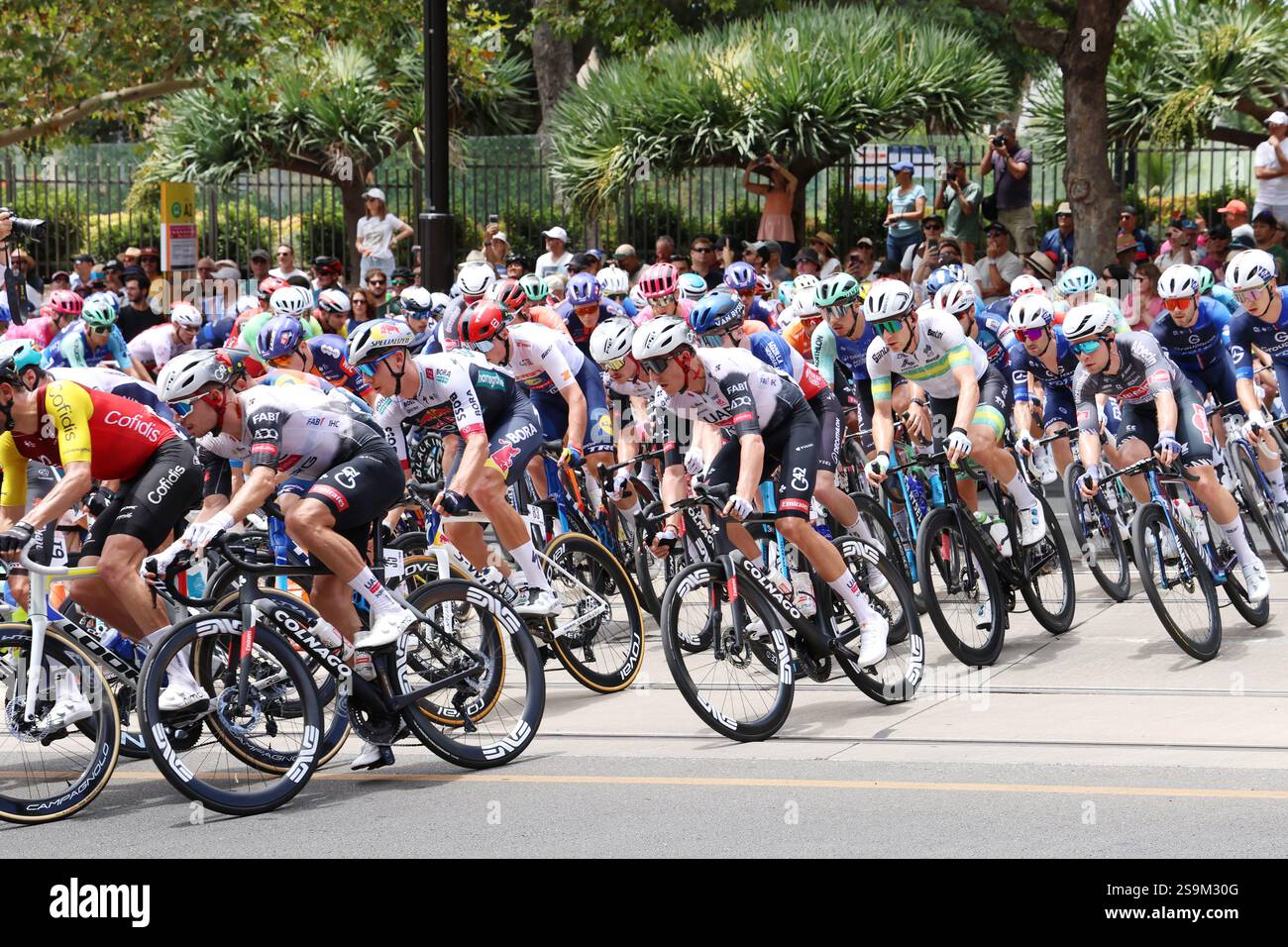 Riders competing in stage 6 of the 2025 Tour Down Under bike race ...