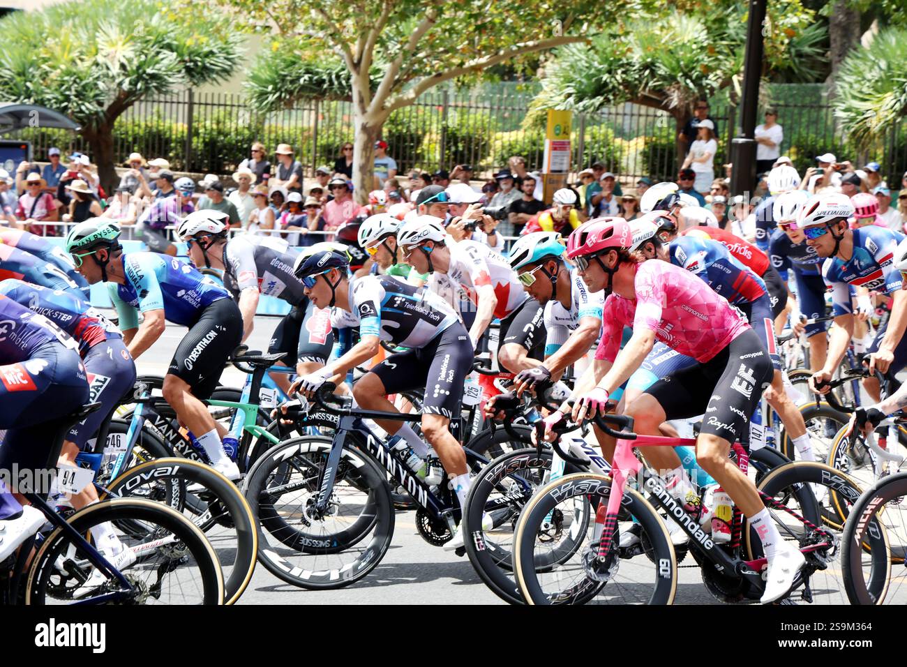 Riders competing in stage 6 of the 2025 Tour Down Under bike race ...