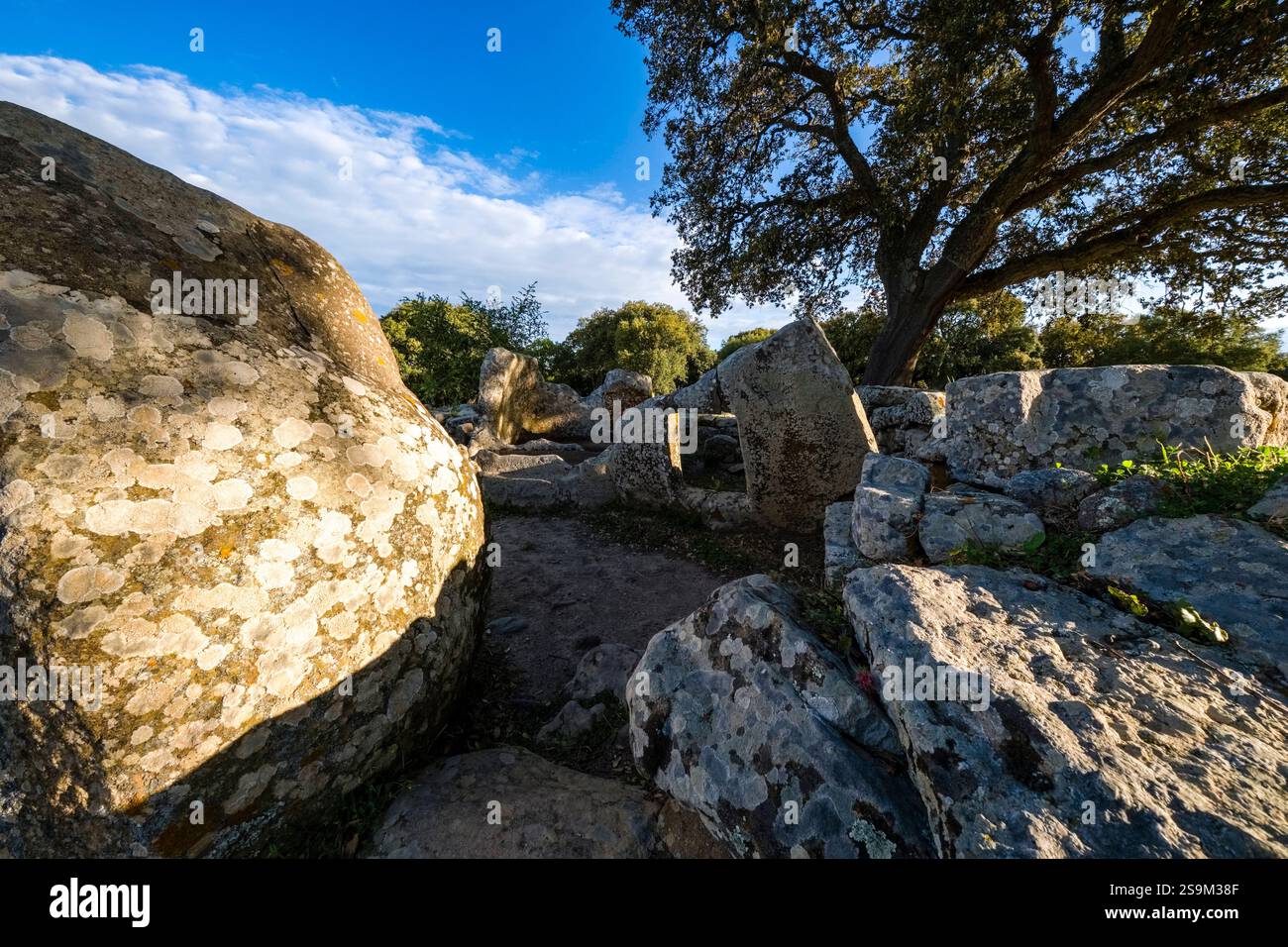 Ruins in the necropolis of Pranu Muttedu, one of the most important ...