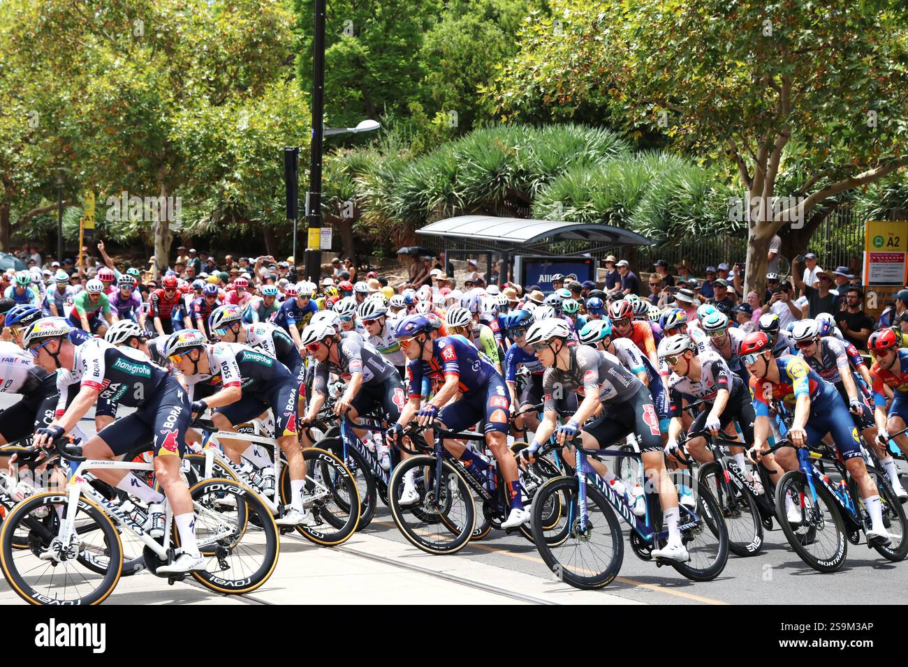 Riders competing in stage 6 of the 2025 Tour Down Under bike race ...