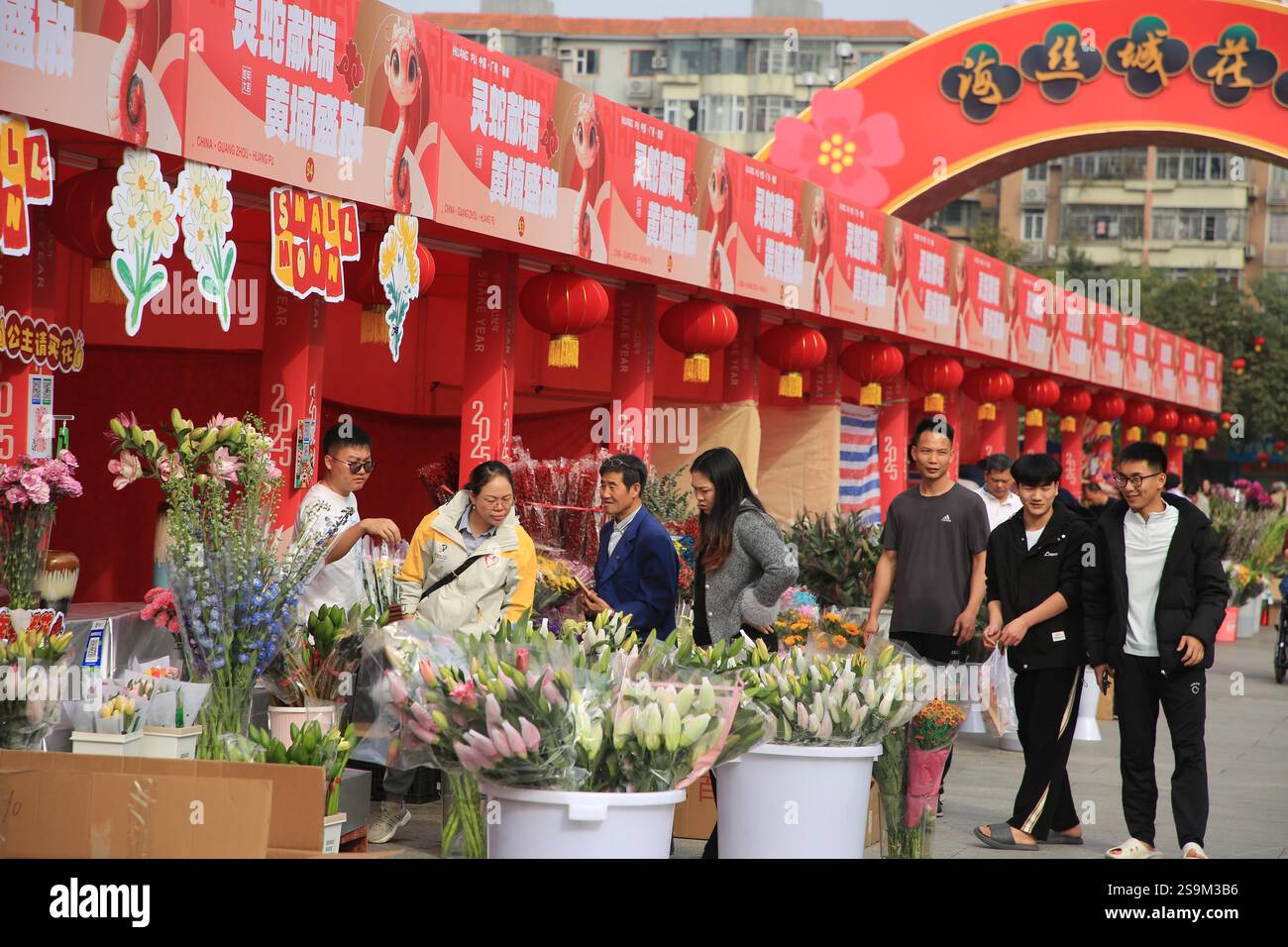 People select Spring Festival flowers at a market in Guangzhou City ...