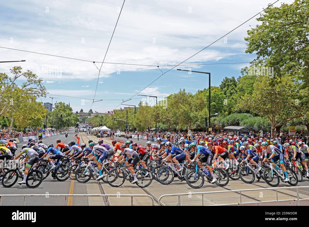 Riders competing in stage 6 of the 2025 Tour Down Under bike race ...