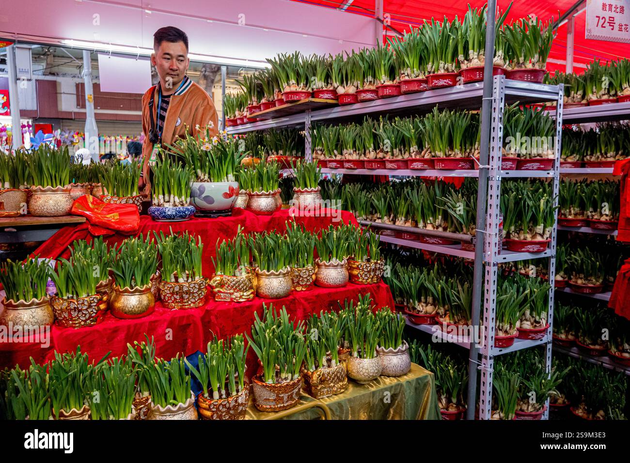 The 2025 Xihu Spring Flower Market opens in Guangzhou City, south China ...