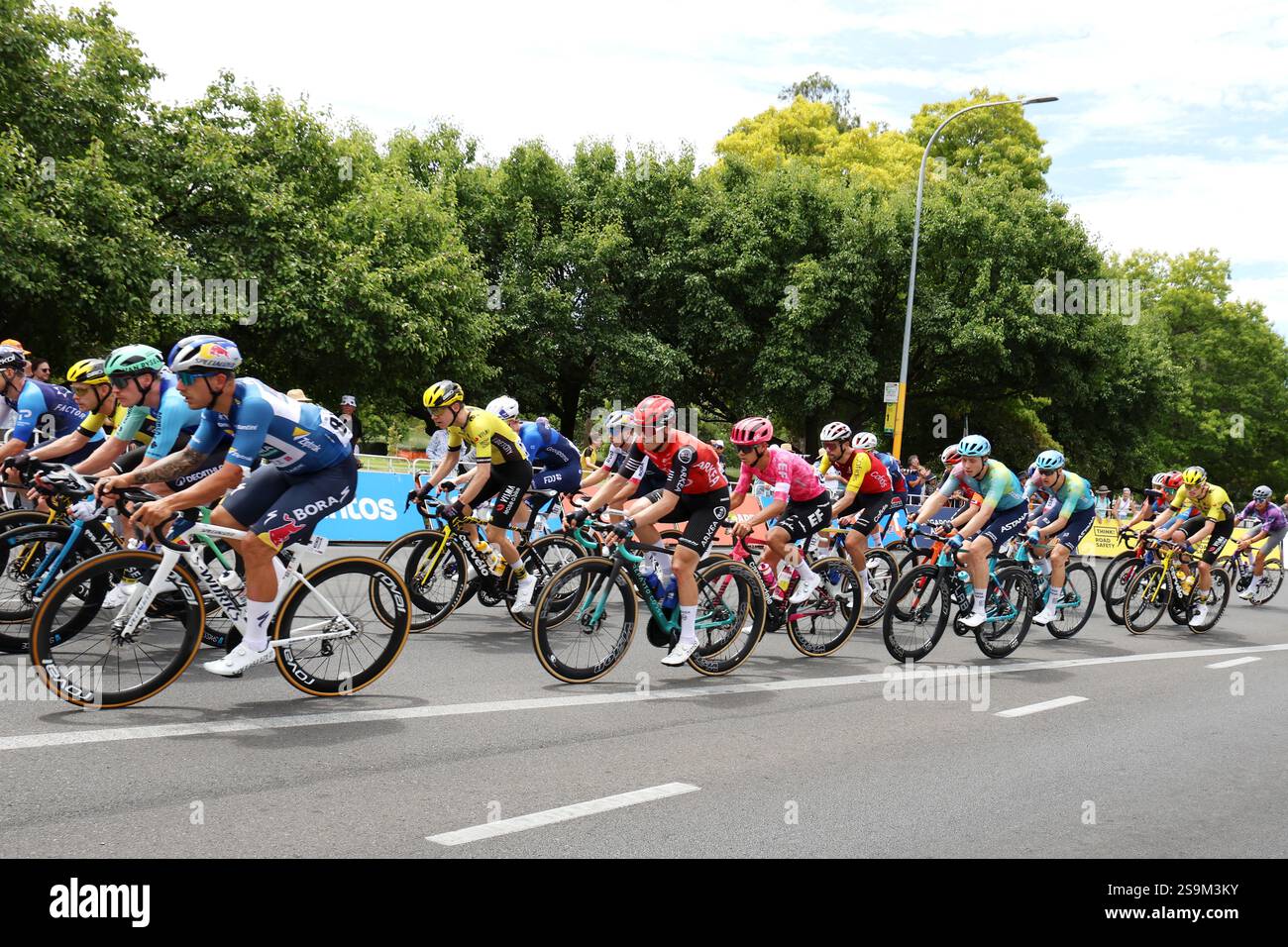Riders competing in stage 6 of the 2025 Tour Down Under bike race ...