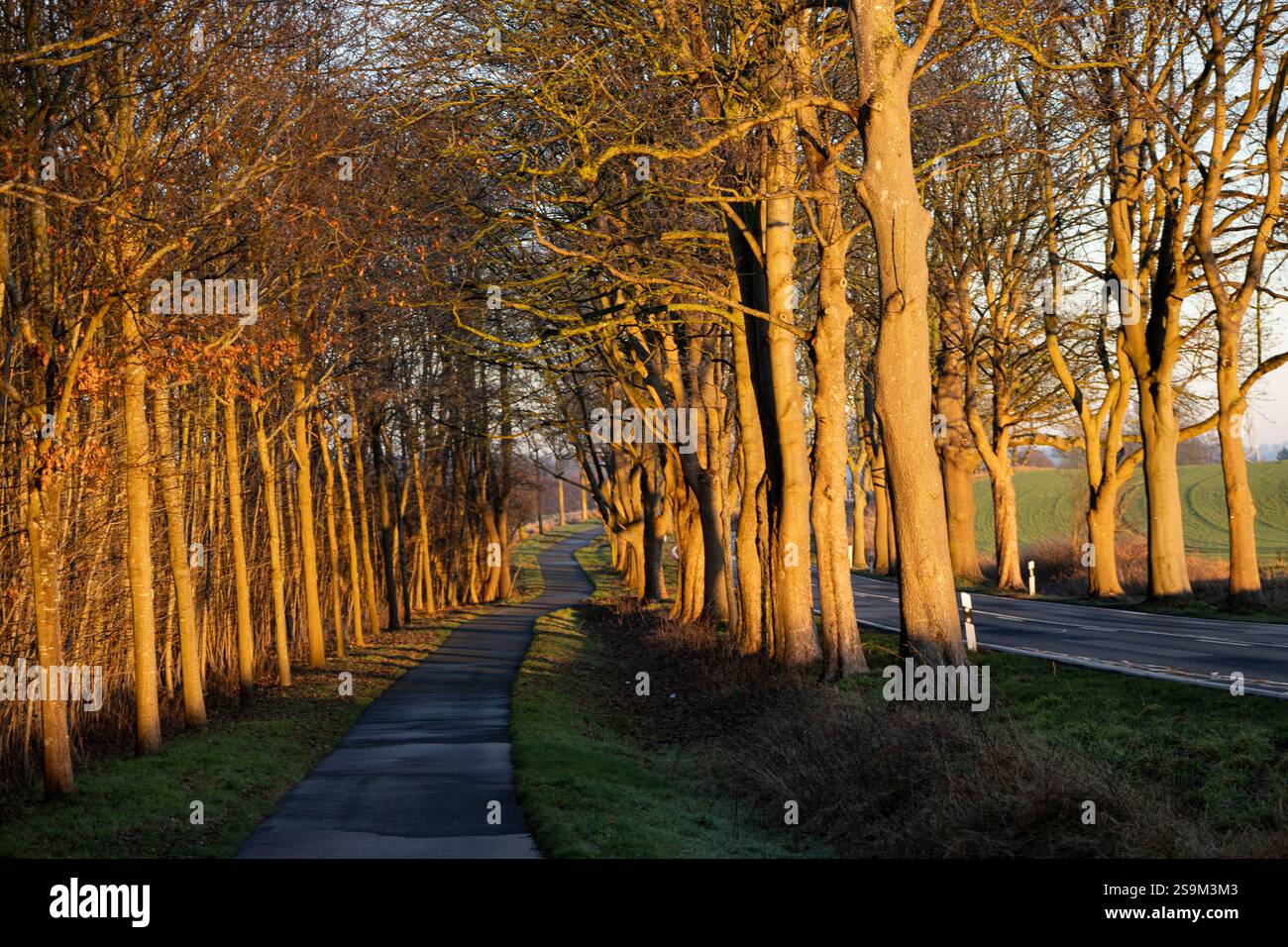 Weg radweg radweg radweg hi-res stock photography and images - Alamy