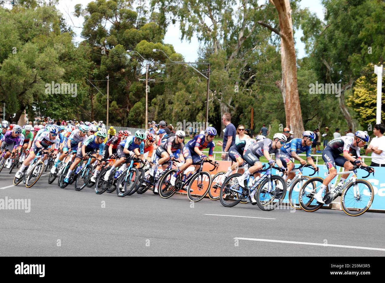 Riders competing in stage 6 of the 2025 Tour Down Under bike race ...