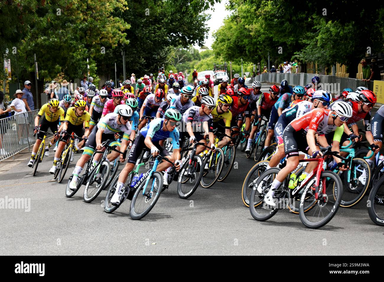 Riders competing in stage 6 of the 2025 Tour Down Under bike race ...