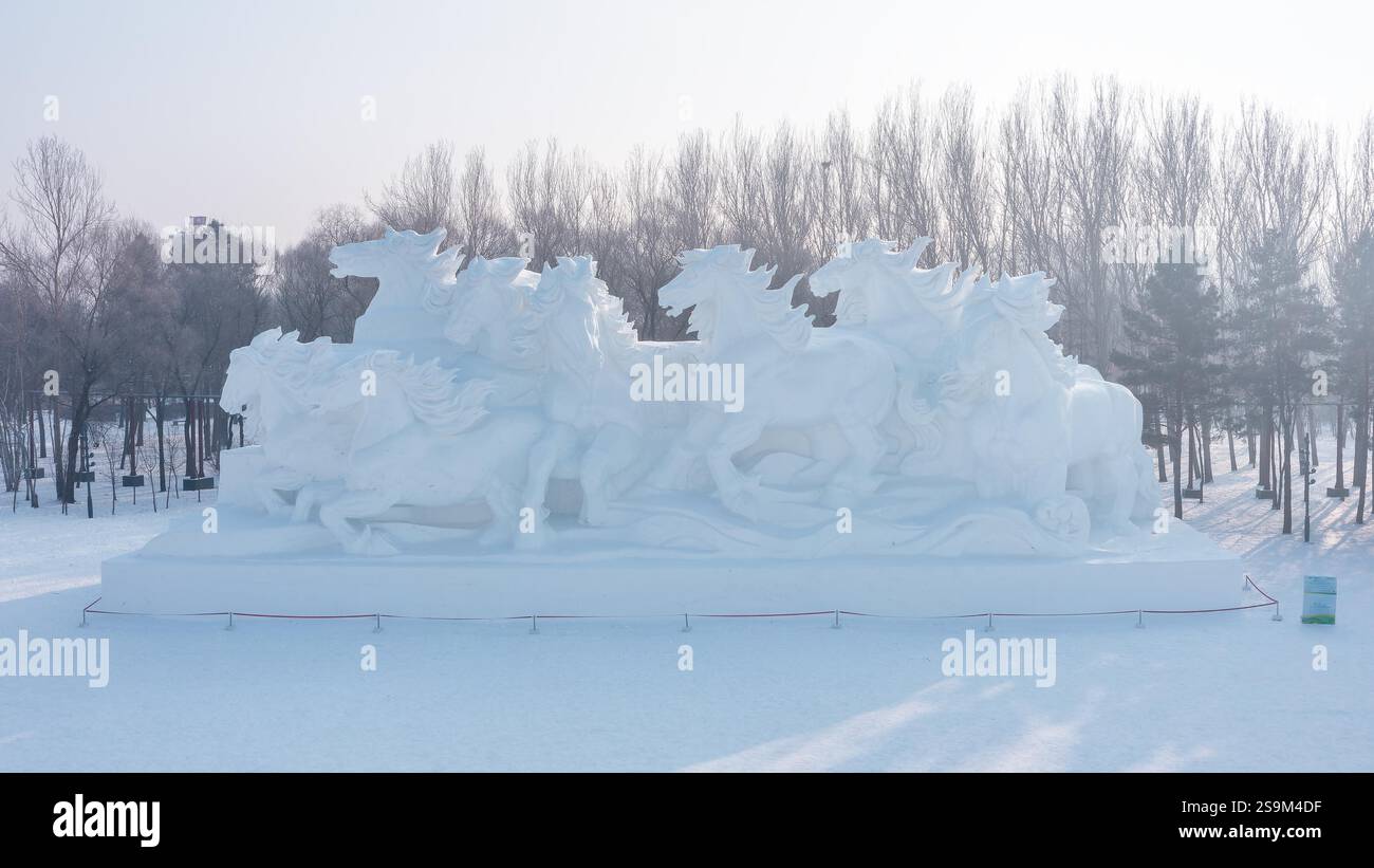Aerial photo shows the snow sculptures at the Sun Island Scenic Area in ...