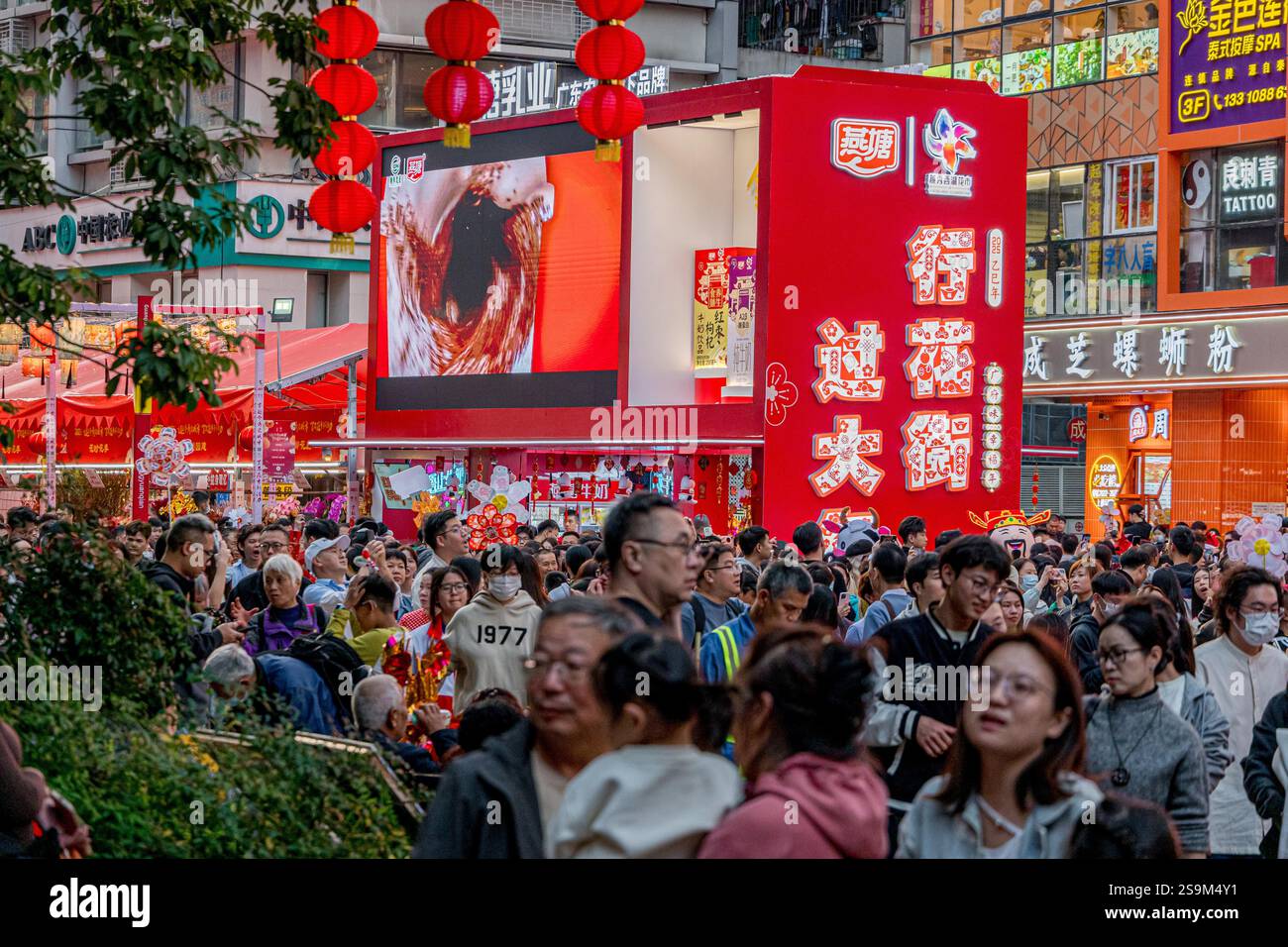 The 2025 Xihu Spring Flower Market opens in Guangzhou City, south China ...