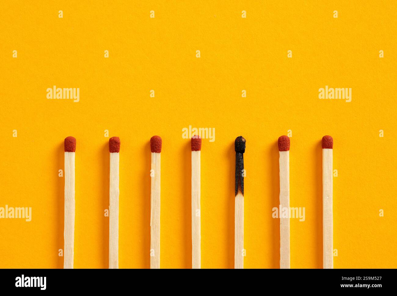 Row of unburned matches with a single burned match in the center ...