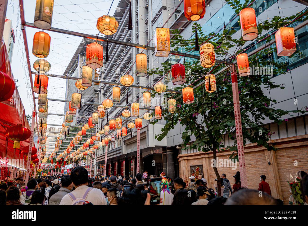 The 2025 Xihu Spring Flower Market opens in Guangzhou City, south China ...