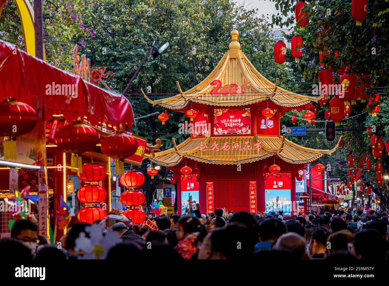 The 2025 Xihu Spring Flower Market opens in Guangzhou City, south China ...