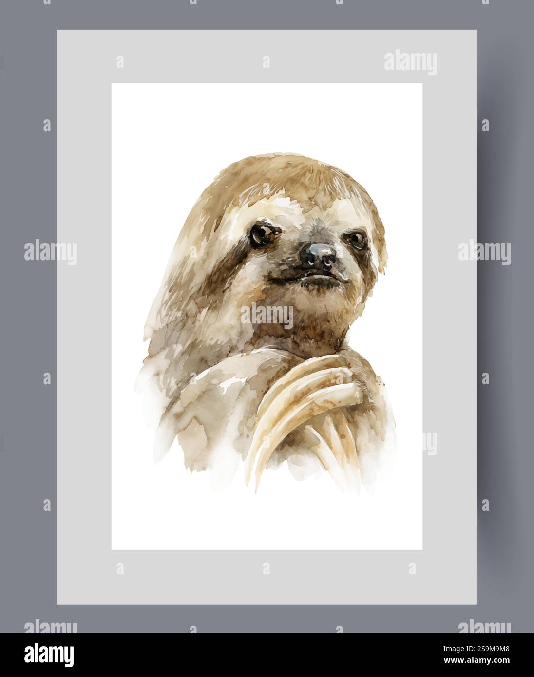 Animal sloth with long claws, paws folded in front of screen on print ...