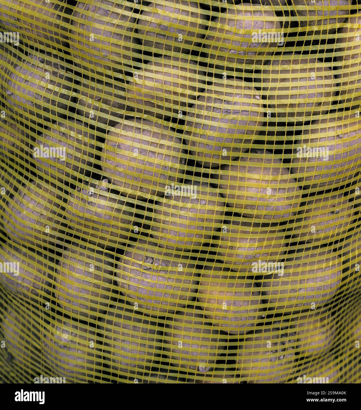 Raw dirty potatoes in a mesh bag Stock Photo - Alamy