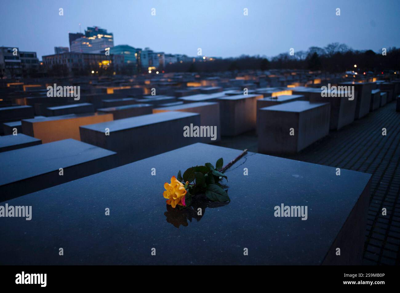 A flower lays on a concrete slab on the occasion of International ...