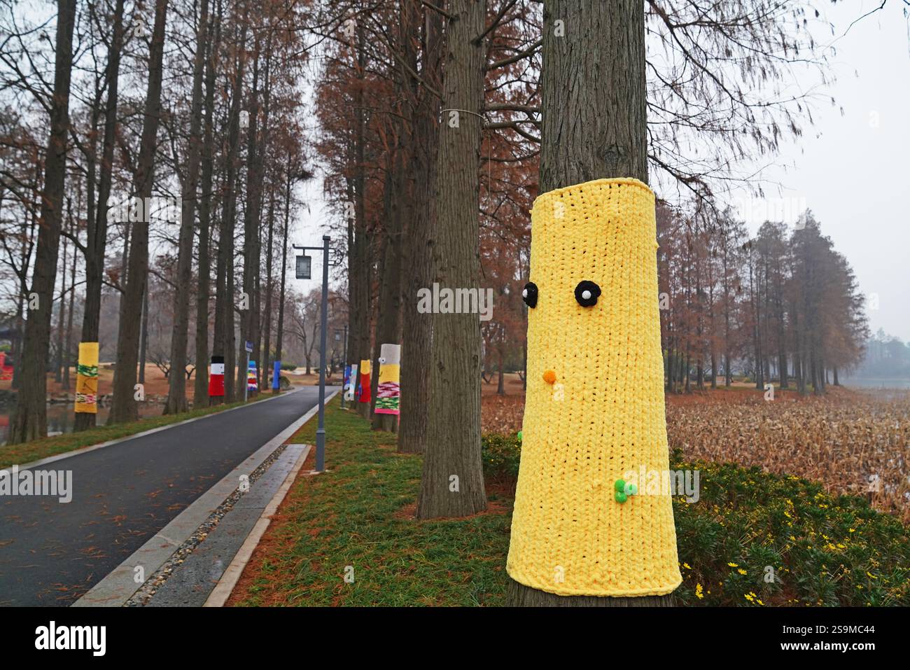 Trees on the street are put on brightly colored "sweaters" for winter ...