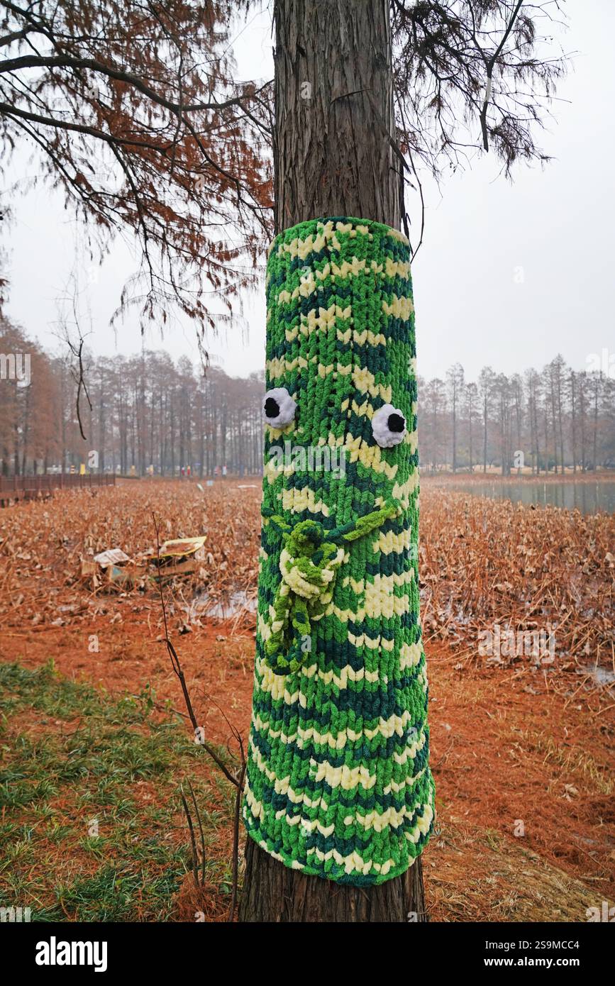 Trees on the street are put on brightly colored "sweaters" for winter ...