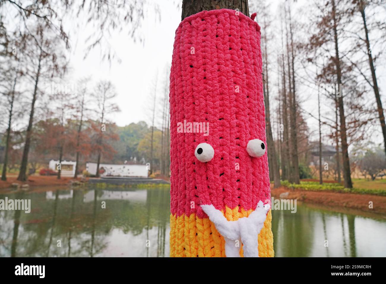 Trees on the street are put on brightly colored "sweaters" for winter ...