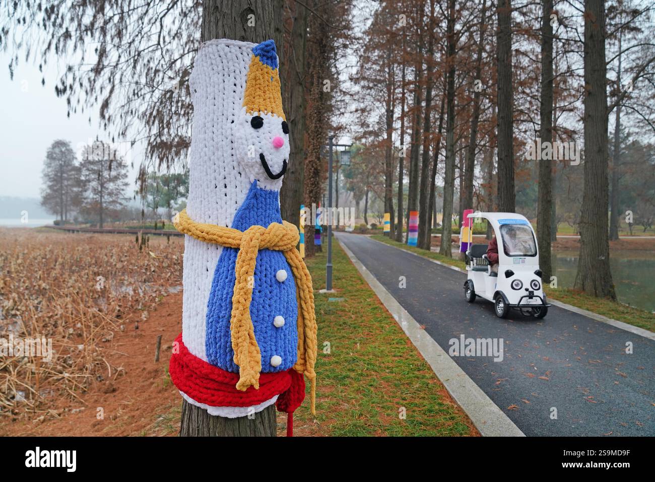 Trees on the street are put on brightly colored "sweaters" for winter ...