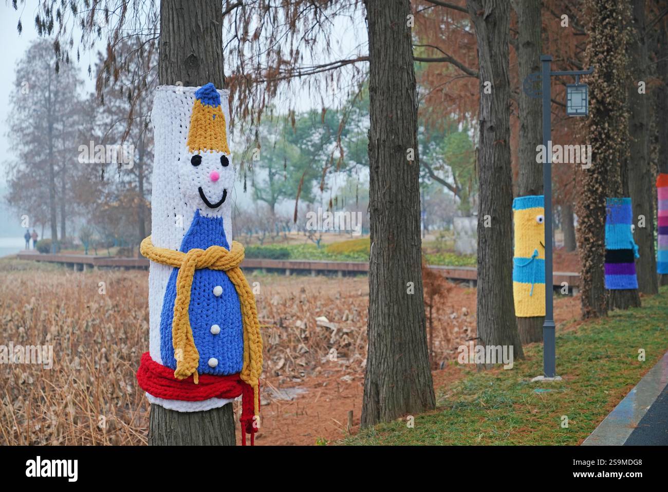 Trees on the street are put on brightly colored "sweaters" for winter ...