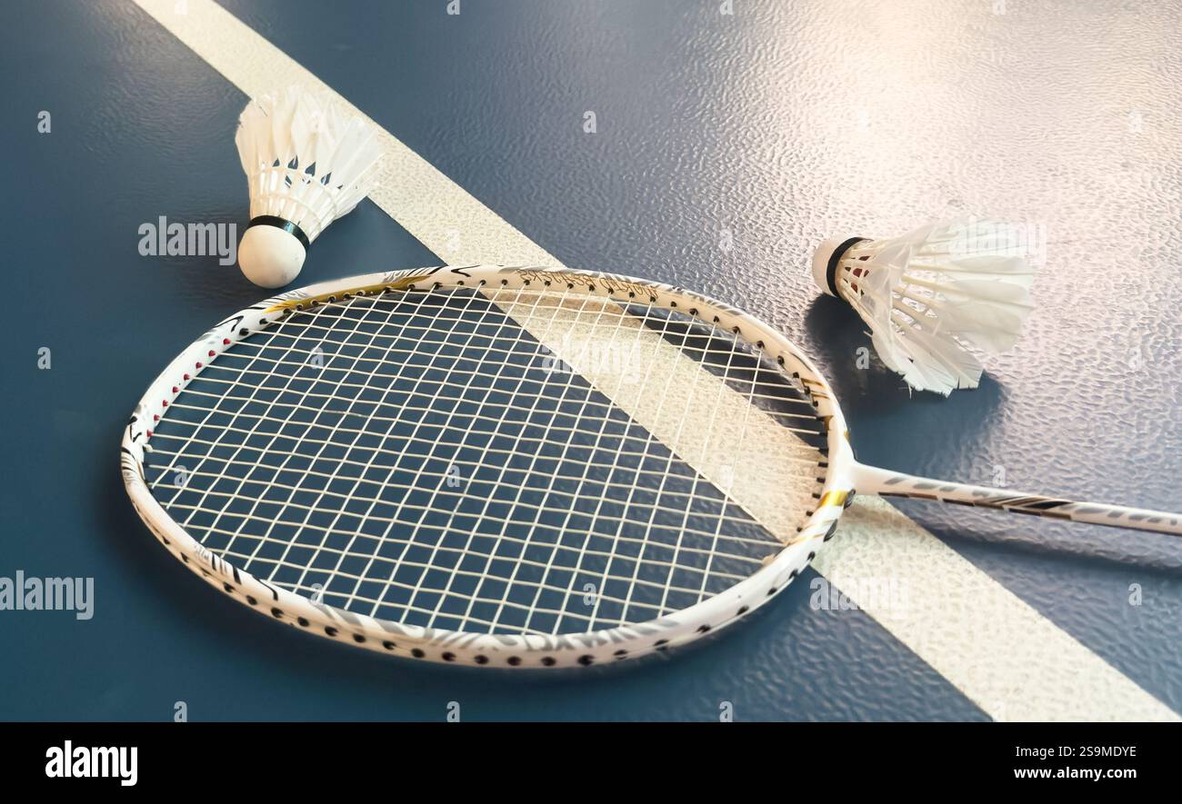 A set of badminton. Paddle and the shuttlecock. High quality photo ...