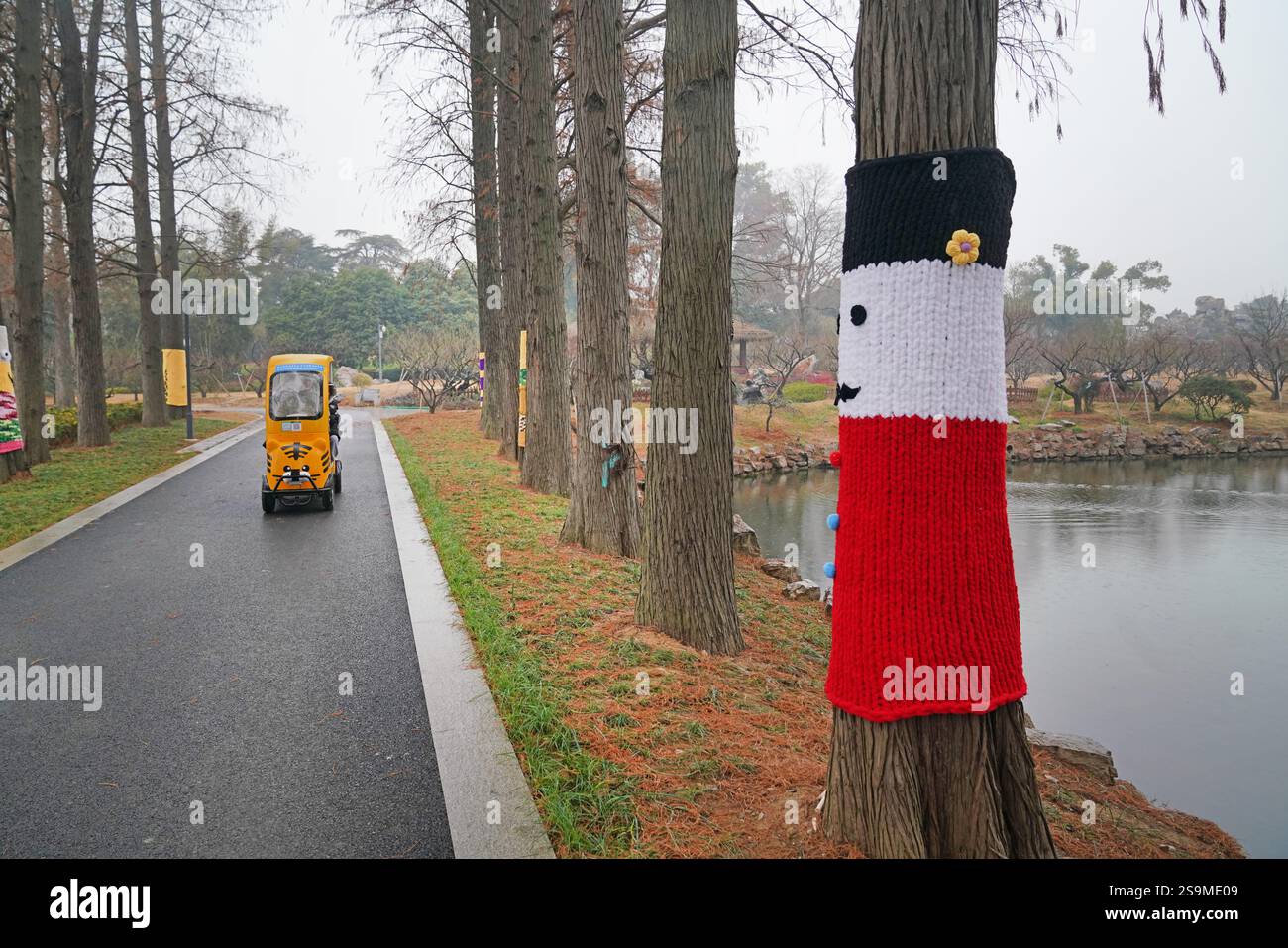 Trees on the street are put on brightly colored "sweaters" for winter ...