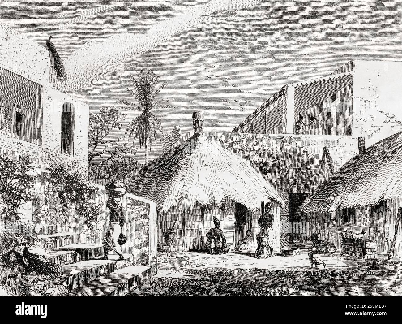 Goree island illustration hi-res stock photography and images - Alamy