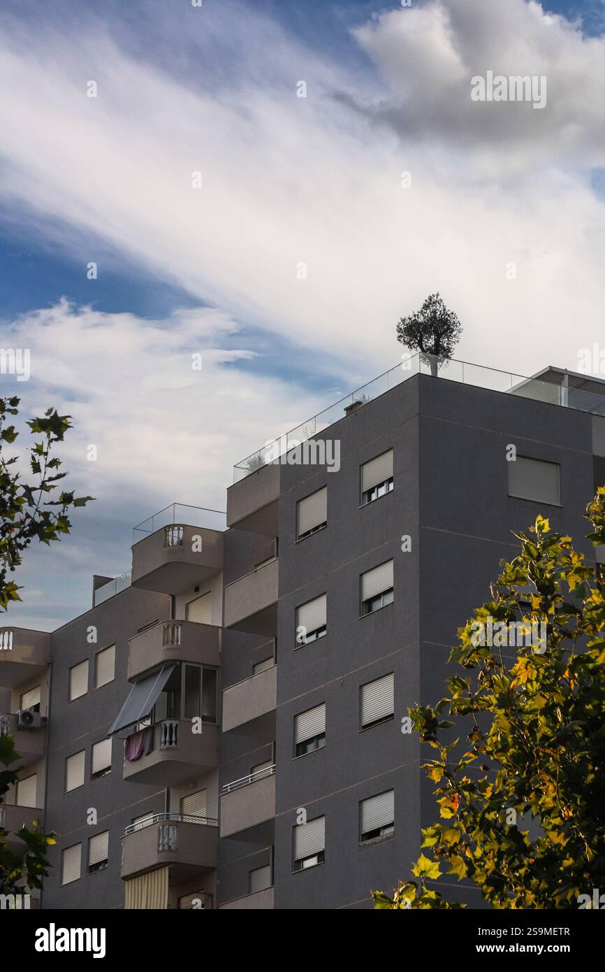 A modern gray building in Albania features a small tree on its rooftop ...