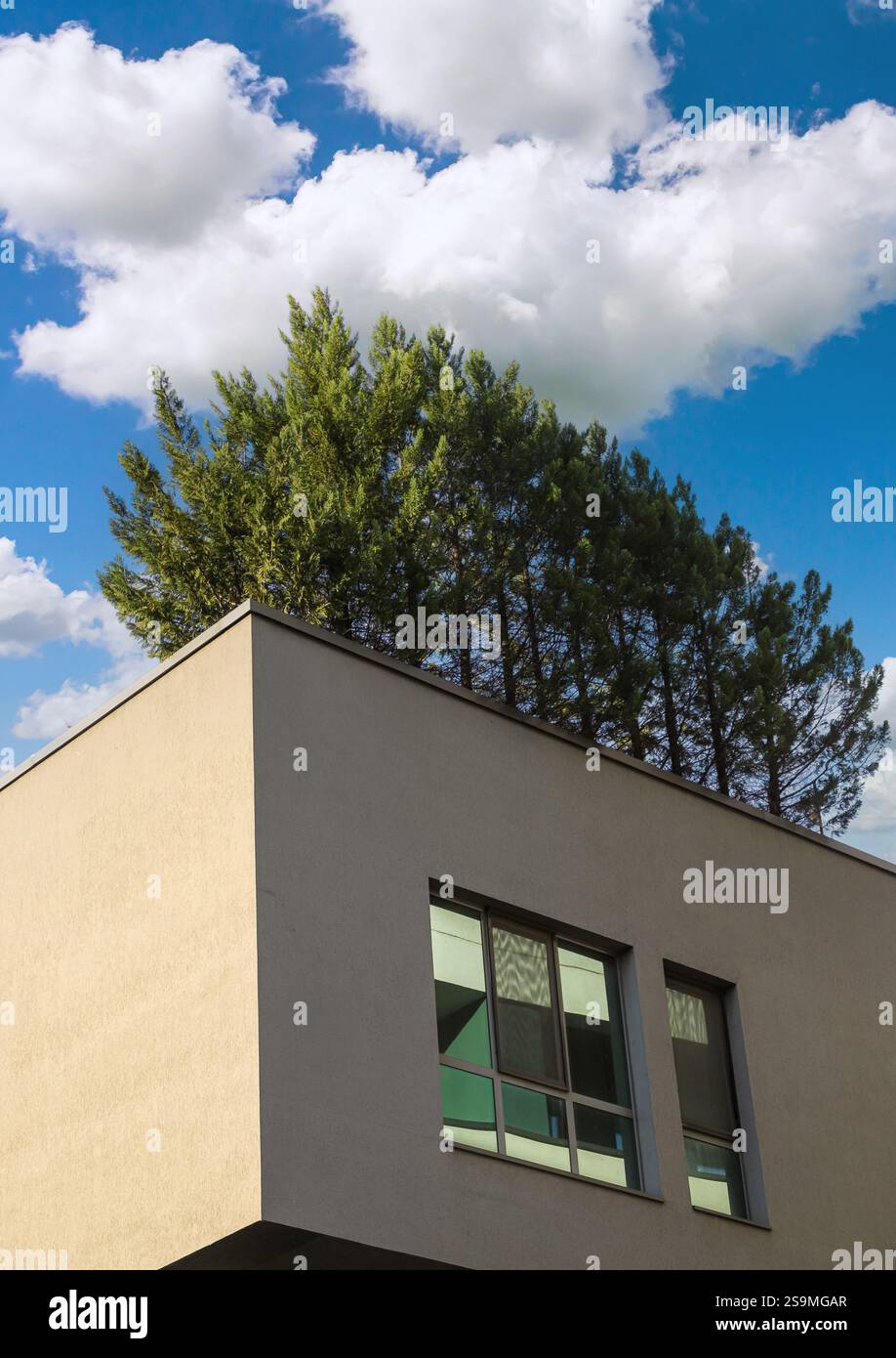 A striking architectural feature shows tall trees growing on the roof ...