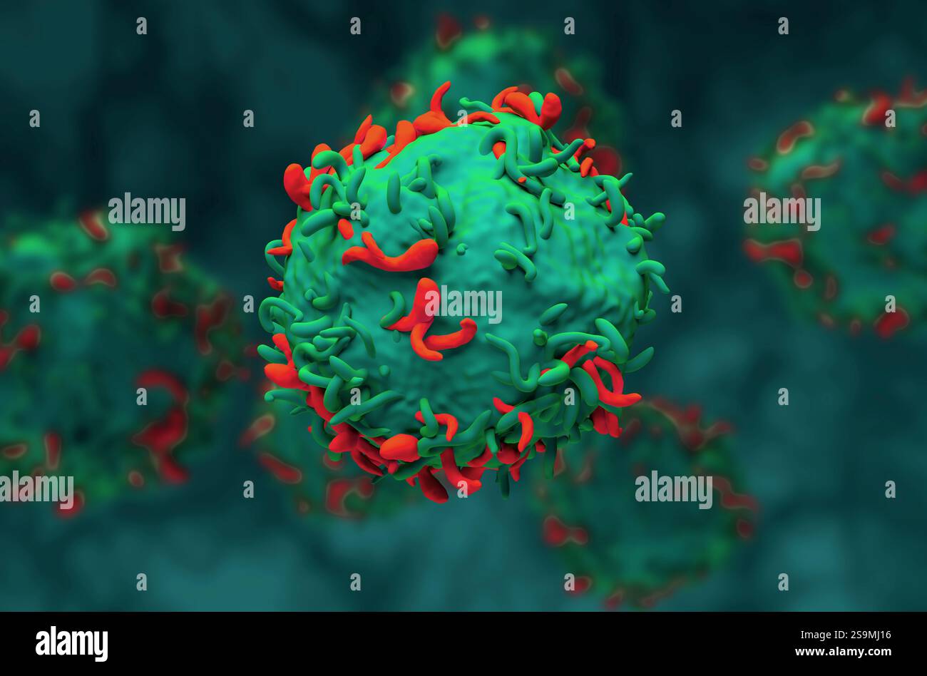 CAR T cells - Closeup view 3d illustration Stock Photo - Alamy