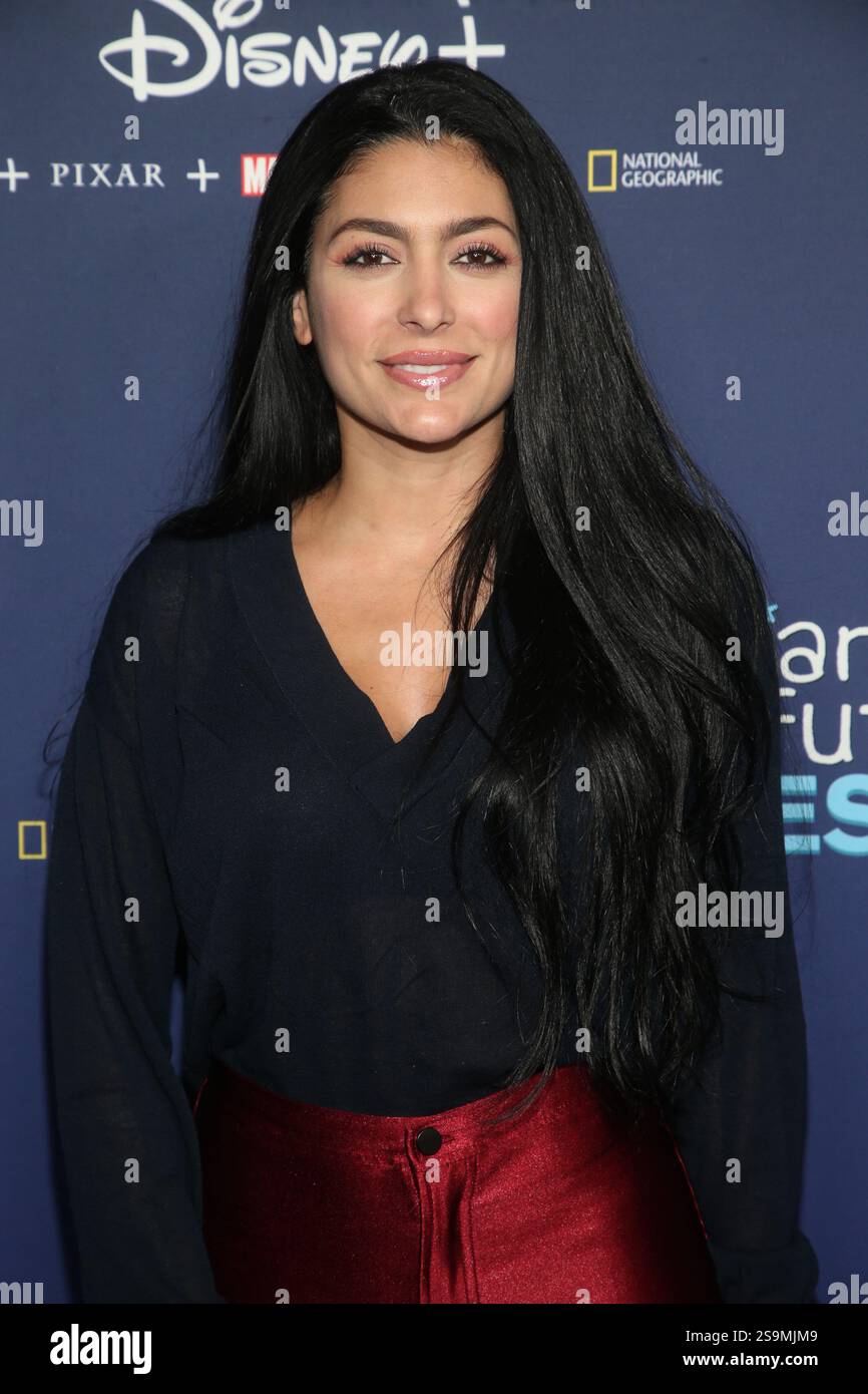 Vanessa Lyon at the 'Diary Of A Future President' TV show premiere ...