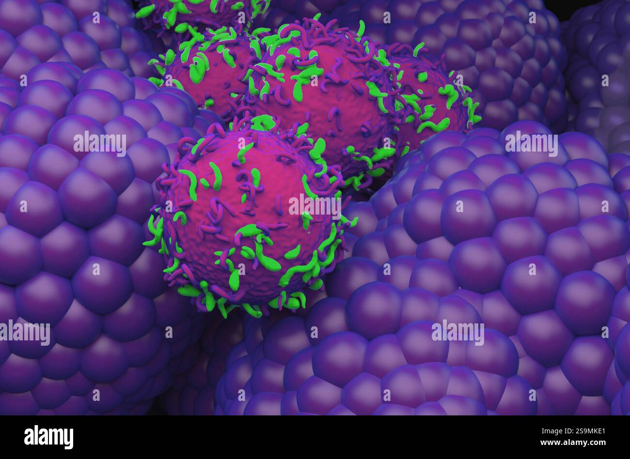 Car t cell immunotherapy hi-res stock photography and images - Alamy
