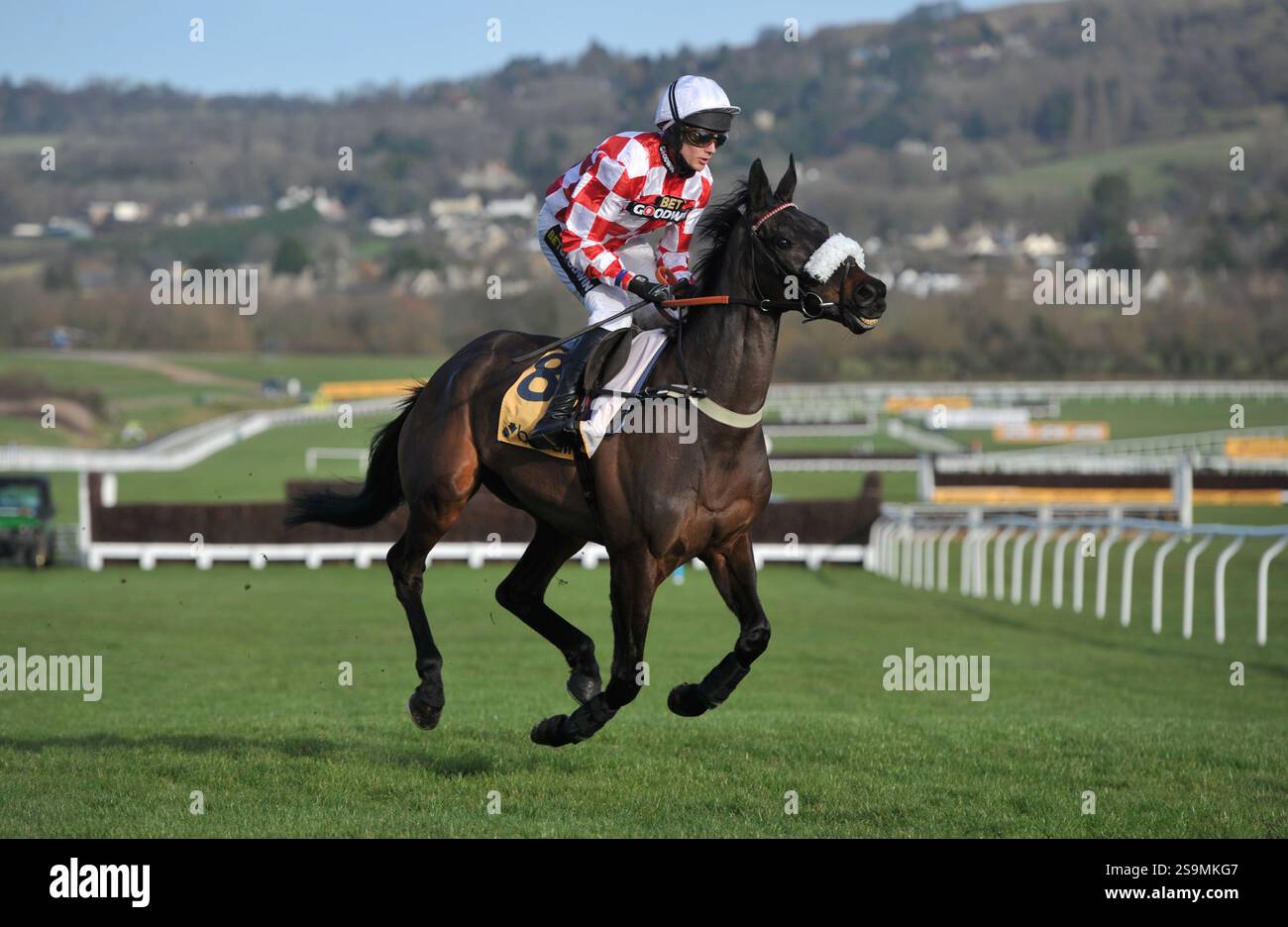 Grand national race horse 2025 hi-res stock photography and images - Alamy