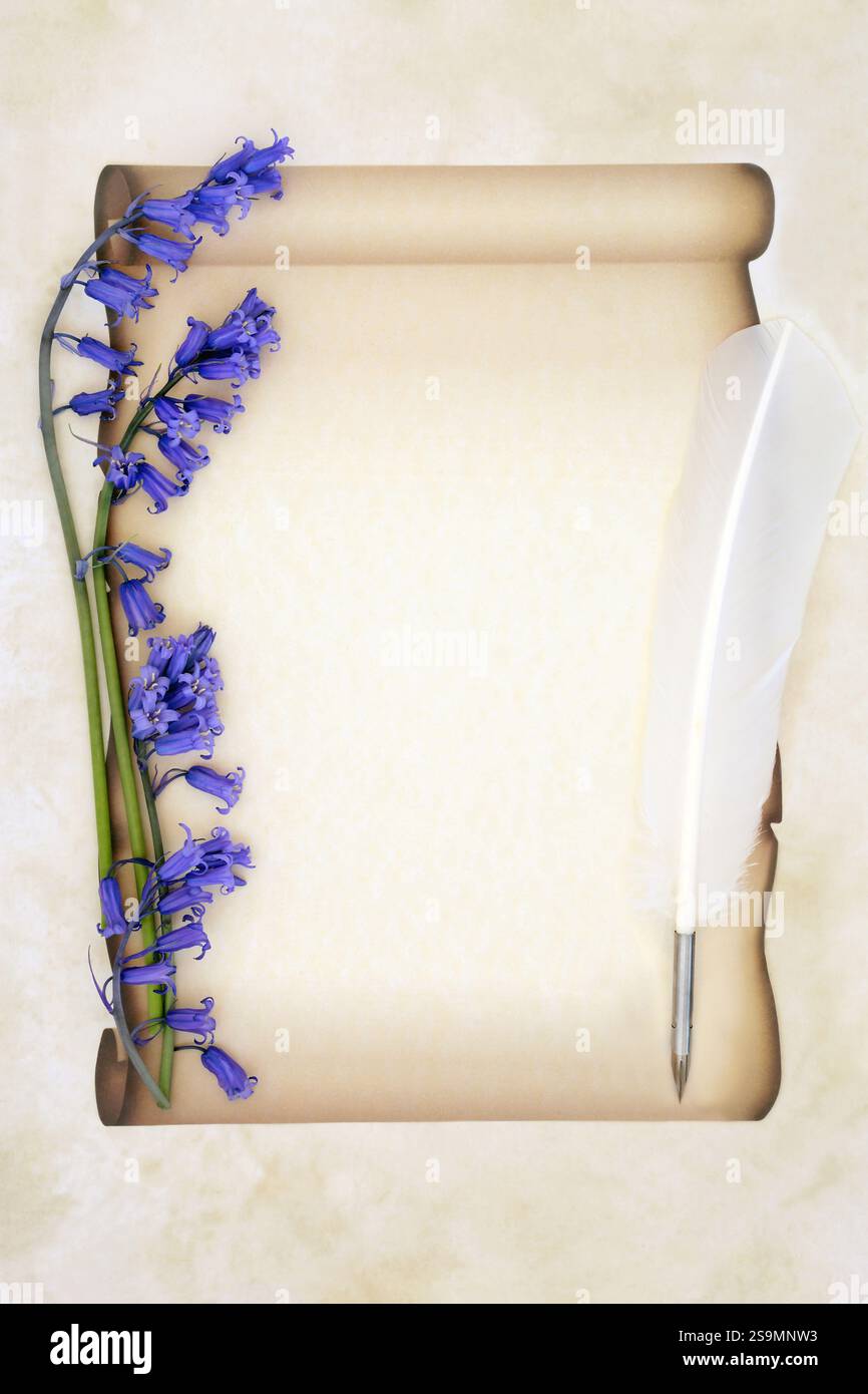 Bluebell flower scroll border on parchment paper background with white ...