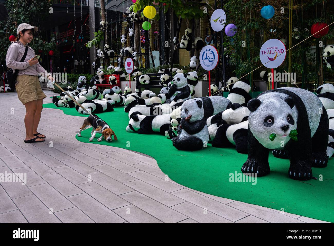 A woman with her dog look at the panda sculpture installations at the ...