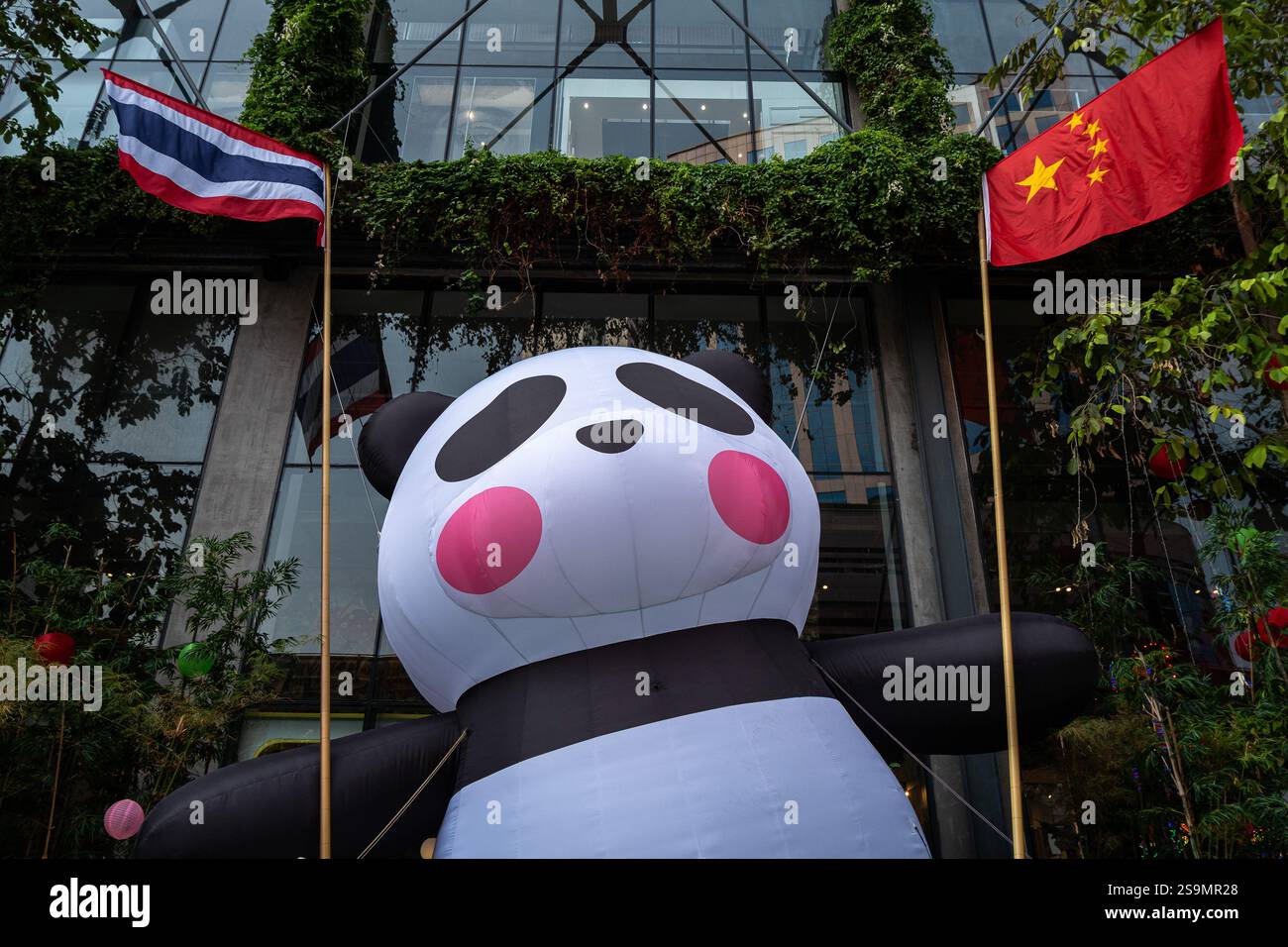Bangkok, Thailand. 27th Jan, 2025. A huge panda balloon installation ...