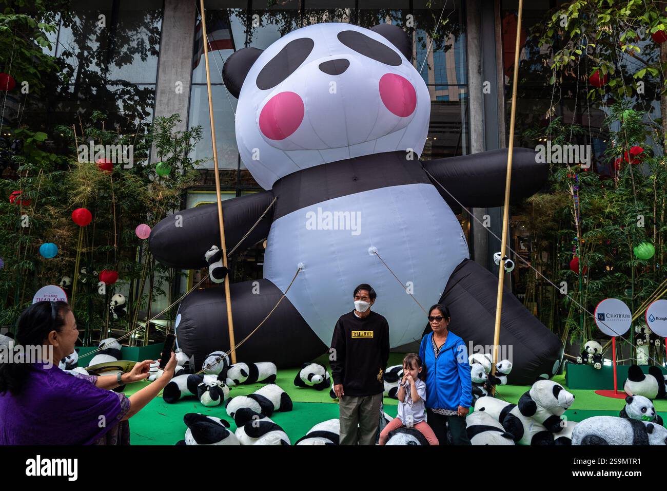 Tourists pose for a photo along with the panda sculpture installations ...