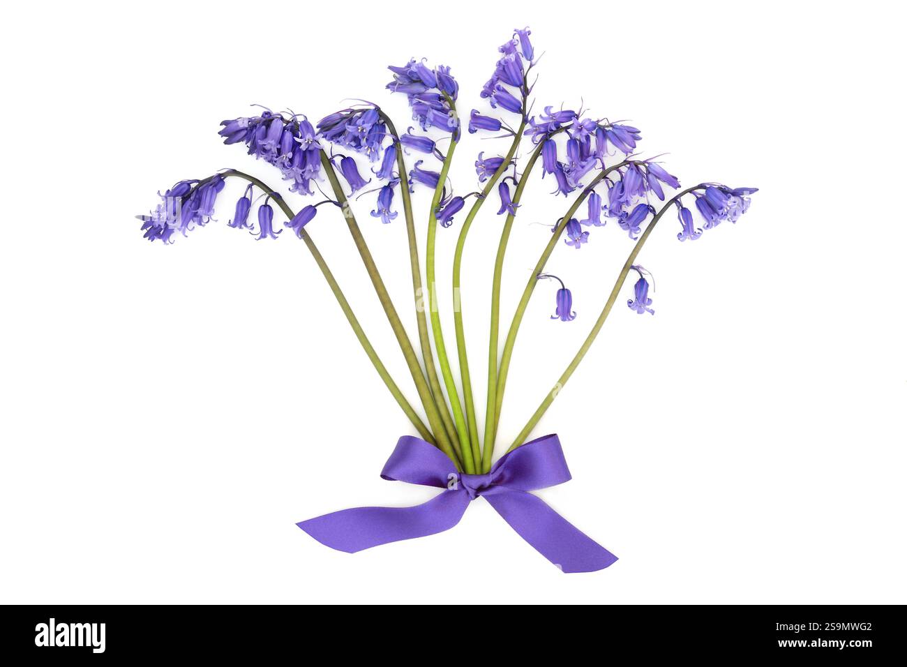 Spring in air greeting Cut Out Stock Images & Pictures - Alamy