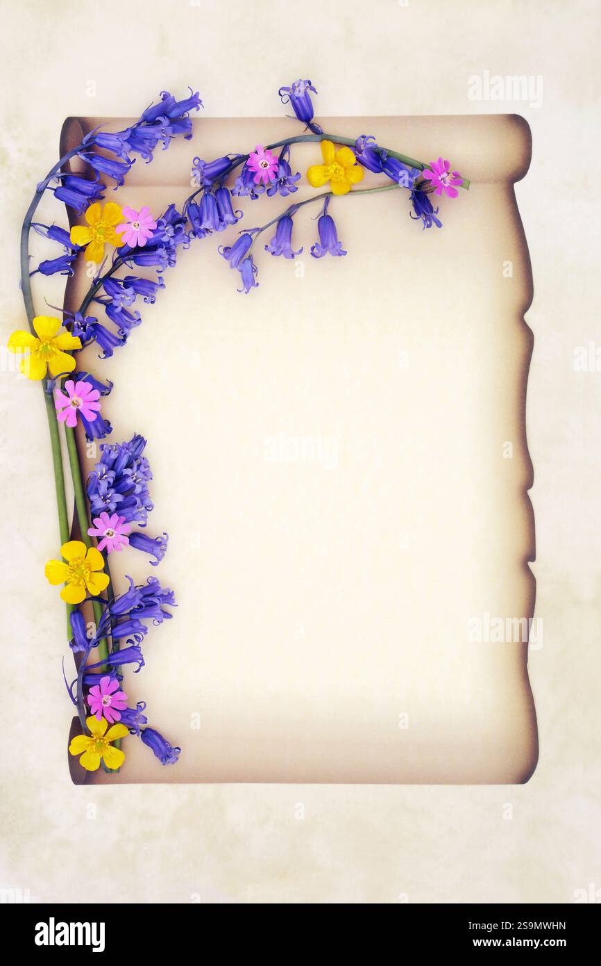 Spring wildflower bluebell buttercup red campion flowers on scroll ...