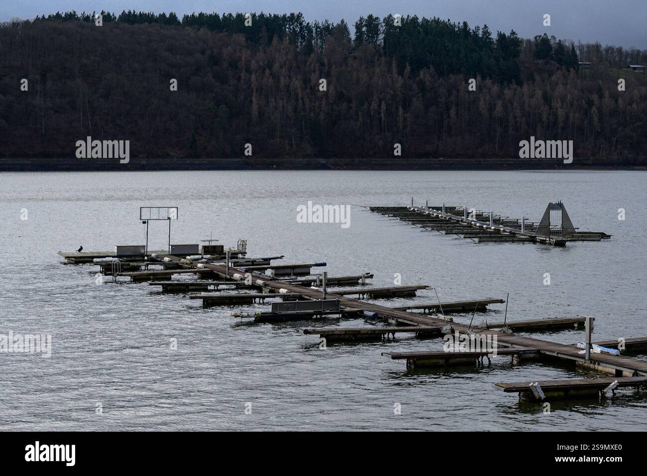 Waldeck, Germany. 27th Jan, 2025. There is a jetty for boats on the ...
