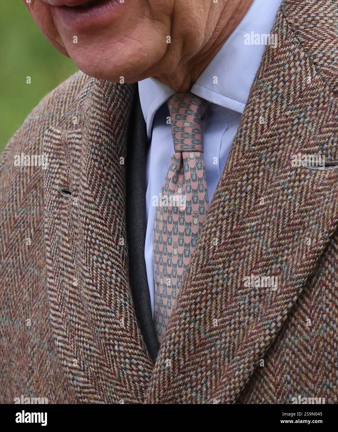 Flitcham, UK. 26th Jan, 2025. A tie with owls and cats worn by King ...